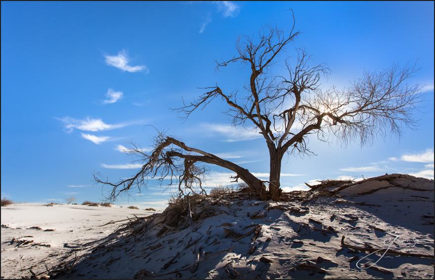 Gavin Seim - White Sands - Seim - Master Photographer