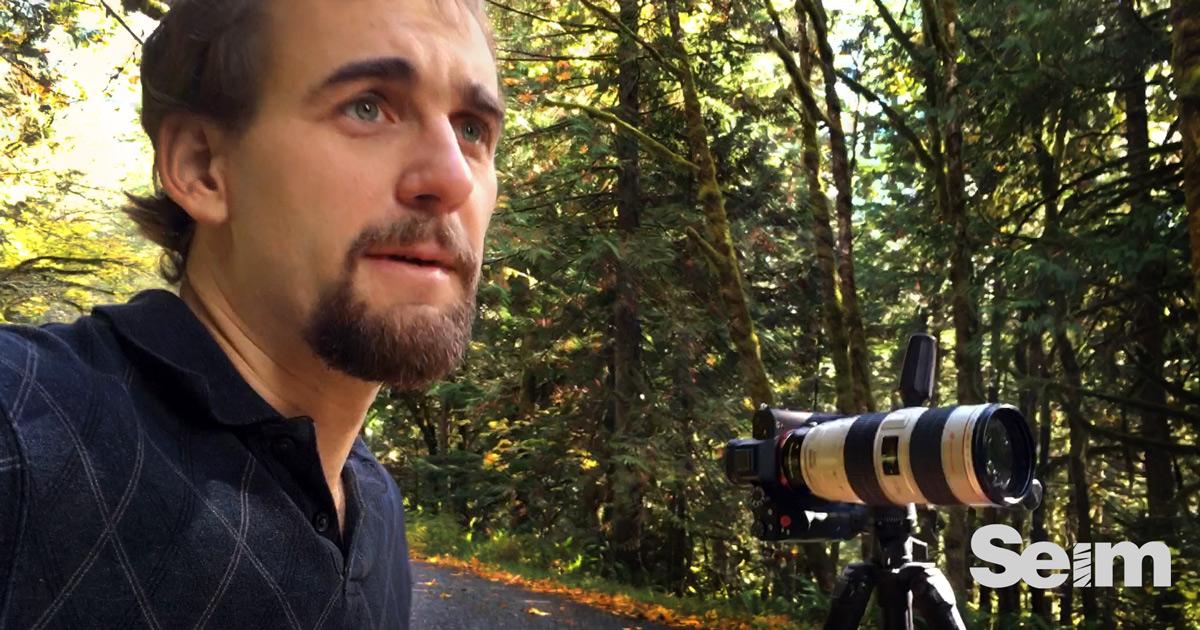 gavin_seim_forest - Seim - Master Photographer