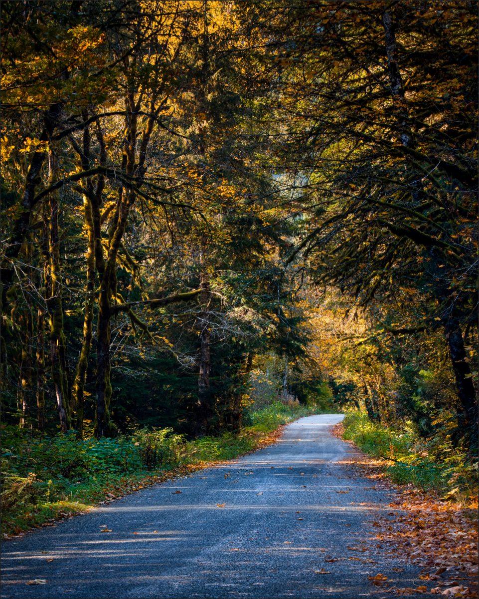 Gavin Seim Portfolio, Photographs by Seim