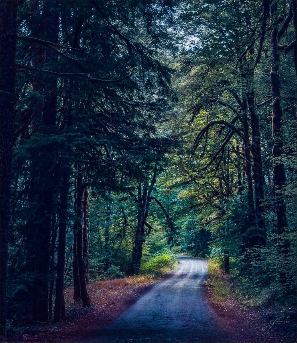 Gavin Seim Portfolio, Photographs by Seim