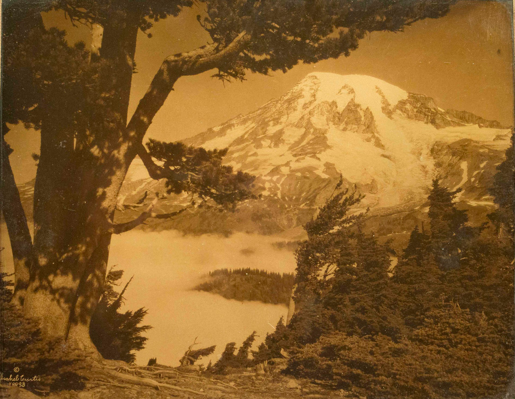 Editing gold tone photos in color. The perfect recipe!