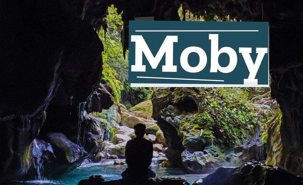 Lightroom Mobile Art Presets - Moby