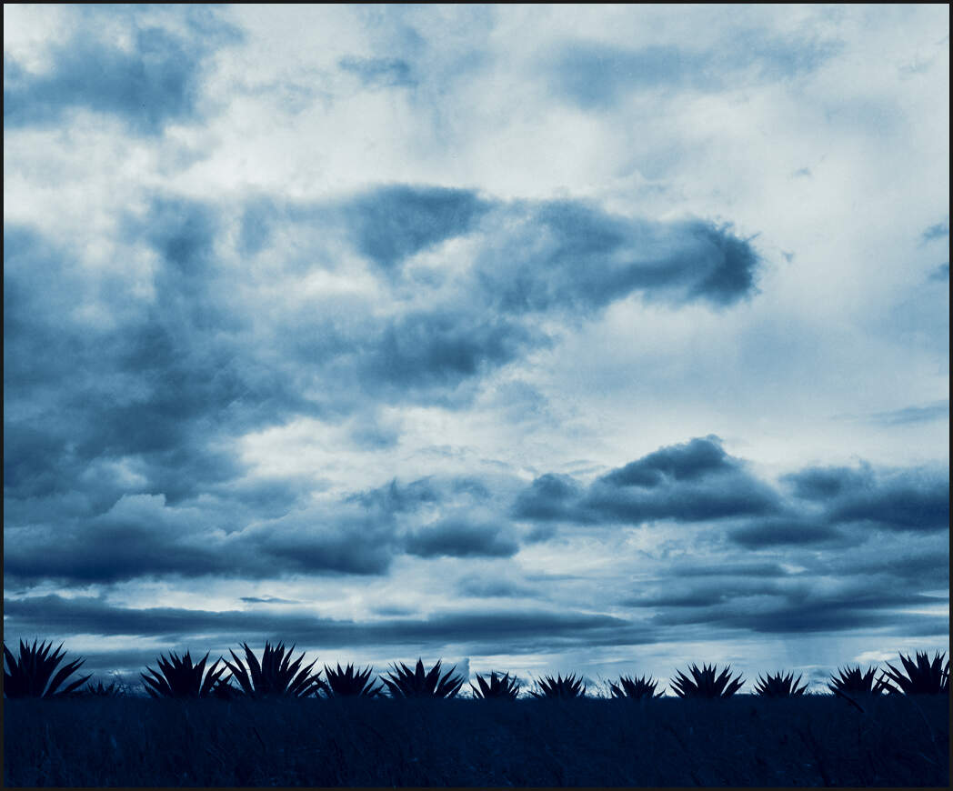 dark-shadows-and-a-cyanotype-process - Seim - Master Photographer