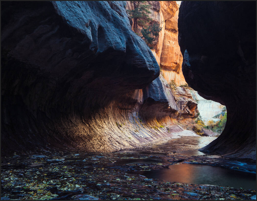 Filmist 1.9 update... Portra 160 Push Preset. Better Velvia recipes ...